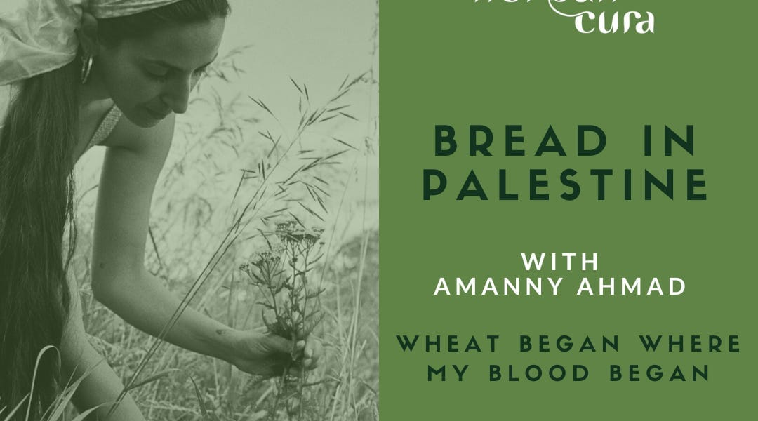 Herban Cura: Bread in Palestine - by Andrew Janjigian