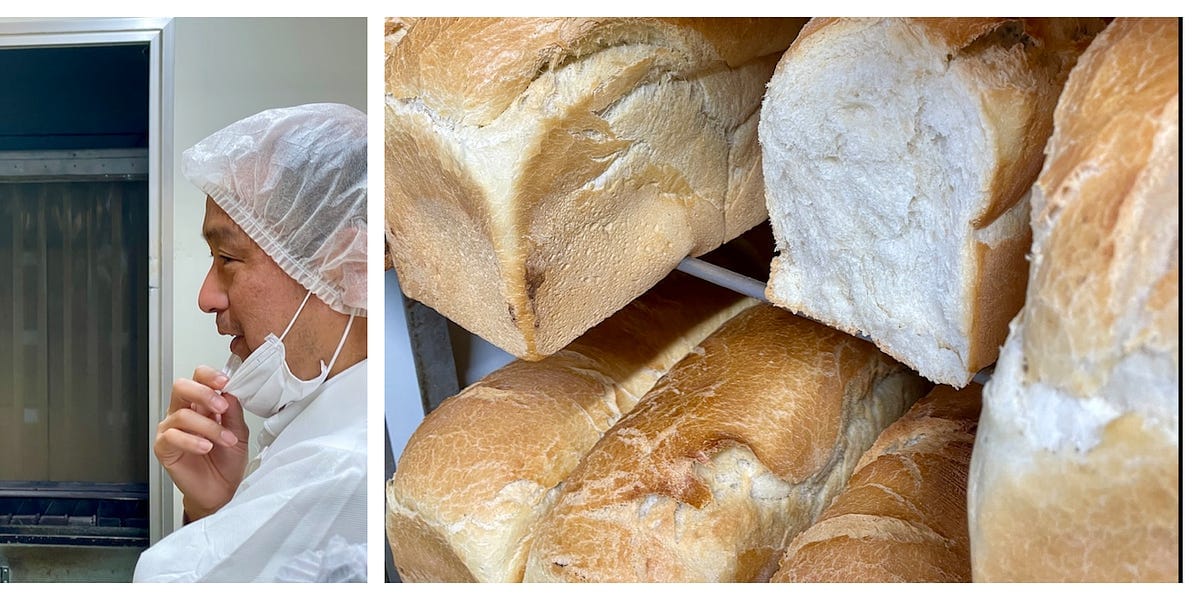 Sakadane: Where Koji Meets Bread - by Kirsten K. Shockey